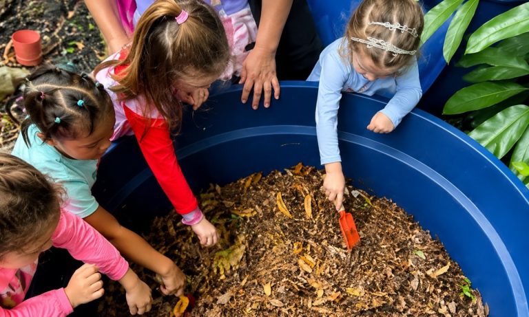 Creche transforma horta em espaço de… | Jornal Razão